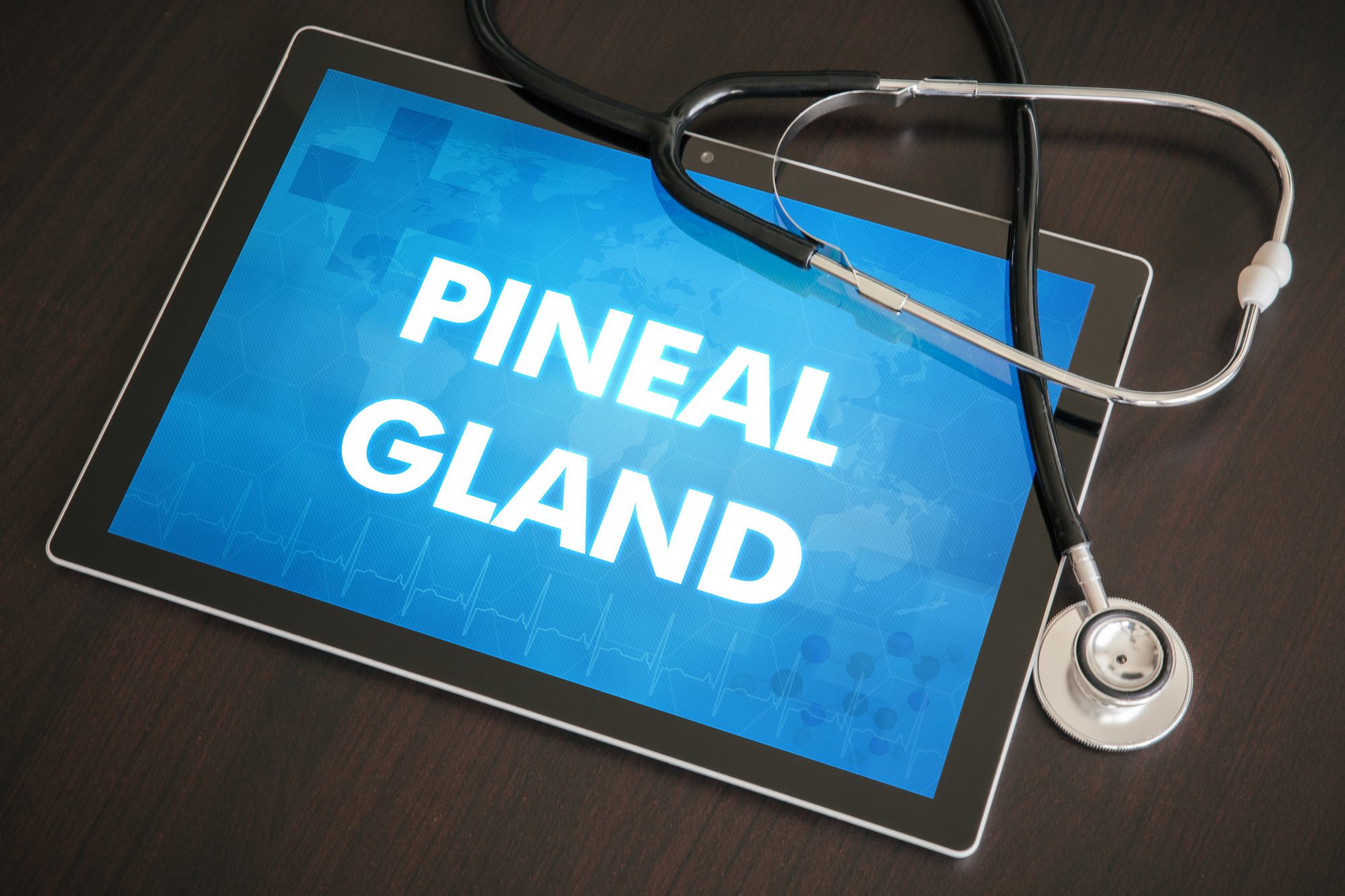 Why PEMF Therapy is Vital for the Pineal Gland ~ PEMF Therapy Education